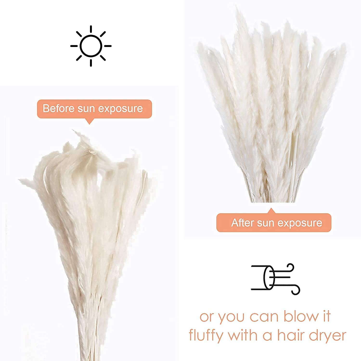 30 Pcs White Pampas Grass ,17 inch/45 cm Natural Dried Pampas Grass Branches Decor for Home Kitchen Garden Party Photographing Flower Arrangement Vase Decor(White