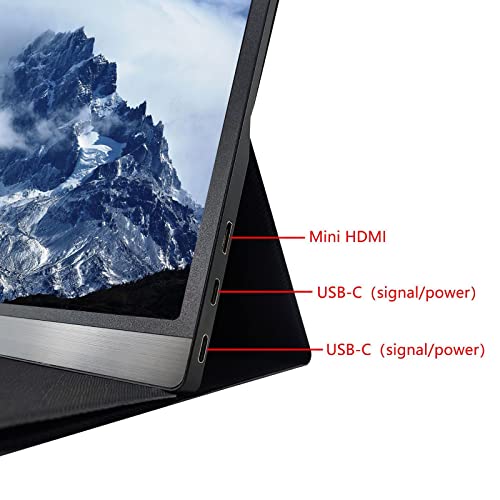 15.6" 1080p Portable Monitor, IPS Display Type, Built-in Speaker, Case with Stand