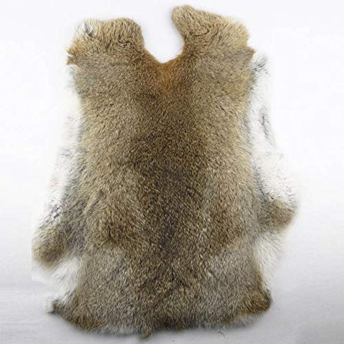 2pcs Natural Tanned Rabbit Fur Hide (10" by 12" Rabbit Pelt with Sewing Quality Leather)
