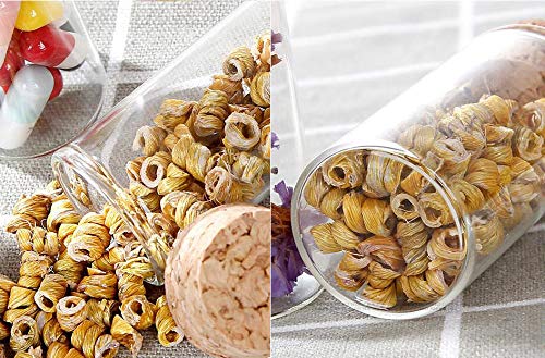 10PCS Empty Glass Clear Test Tube Message Bottles Vials Jars Packing Container with Wood Cork Stoppers for Scientific Experiments Tea Powder Liquid Storage Dispenser(40ml-30mmx80mm)