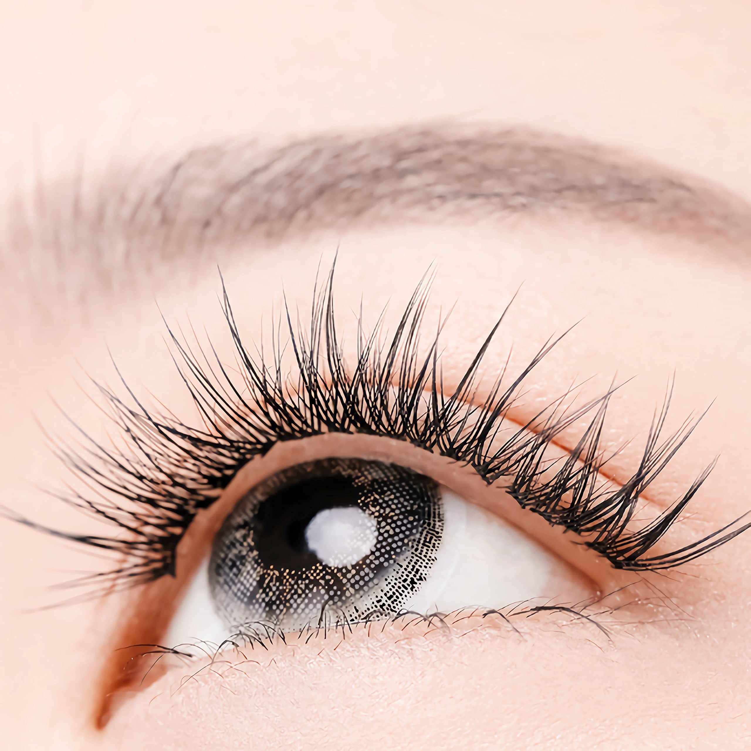 IECILI Individual Lashes/Lash Clusters 480pcs 8-14mm Cluster Eyelash Extensions /12 Roots/C Curl /0.07mm Cluster Lashes/Faux Mink Lash Extensions (C Curl, Fishtail Lashes-0.07mm)