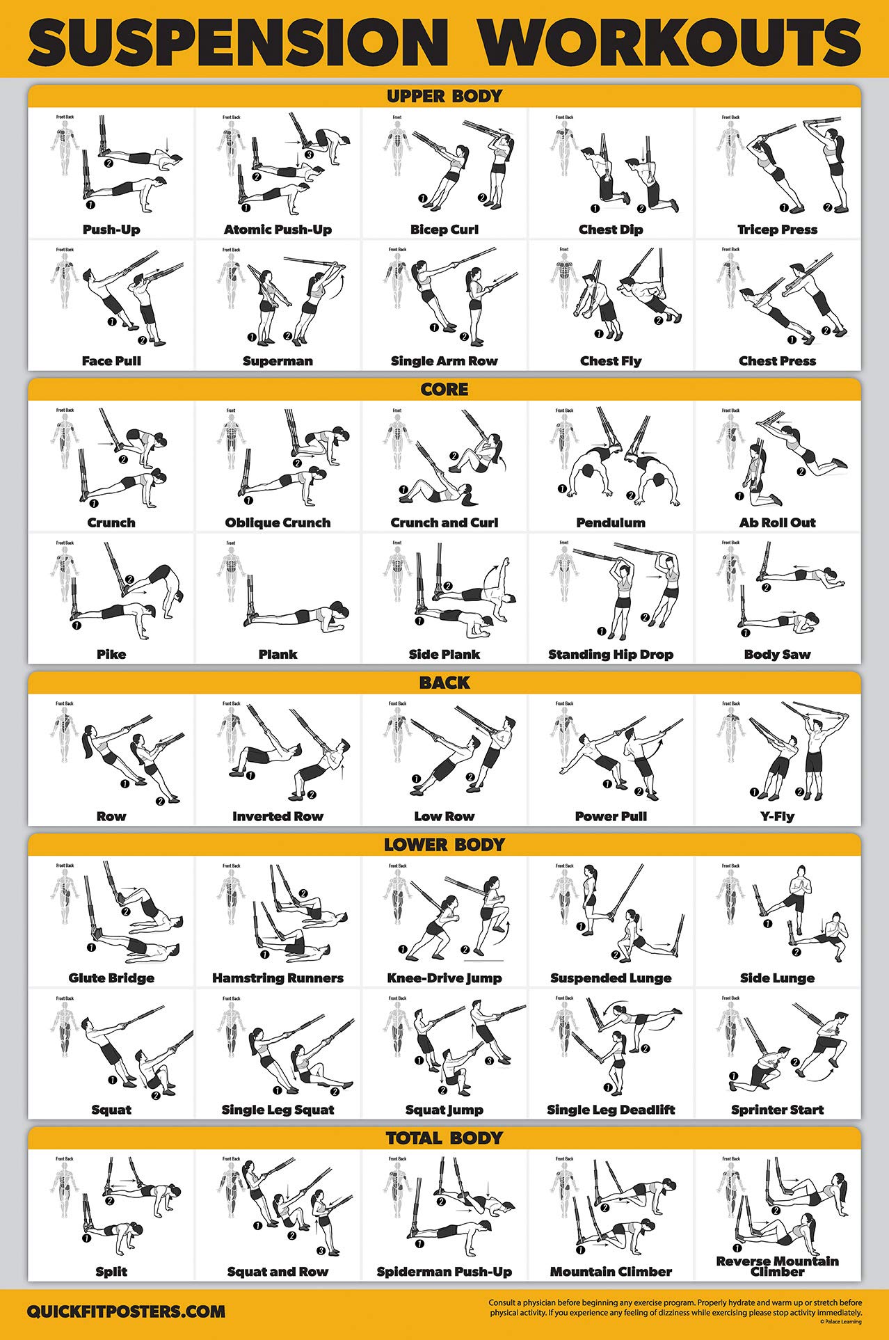 11 Pack - Exercise Poster Set: Dumbbell, Suspension, Kettlebell, Resistance Bands, Stretching, Bodyweight, Barbell, Yoga, Exercise Ball, Muscular System, Medicine Ball (LAMINATED, 18" x 24")
