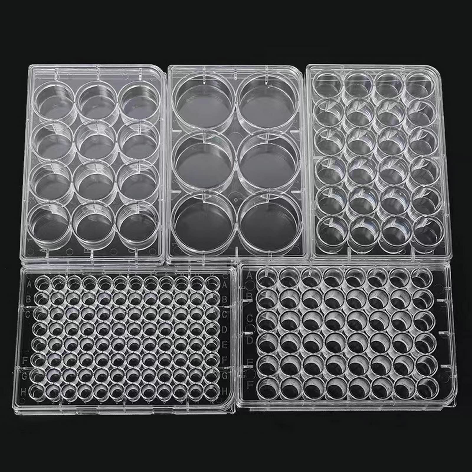 12-Well Tissue Culture Plate - Individually Wrapped, with Lid,Flat Bottom Wells(Pack of 10)