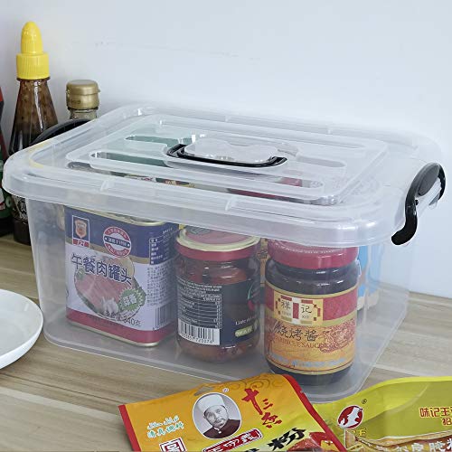EudokkyNA 8 Liter Plastic Storage Box with Handle, 2-Pack Clear Storage Bin