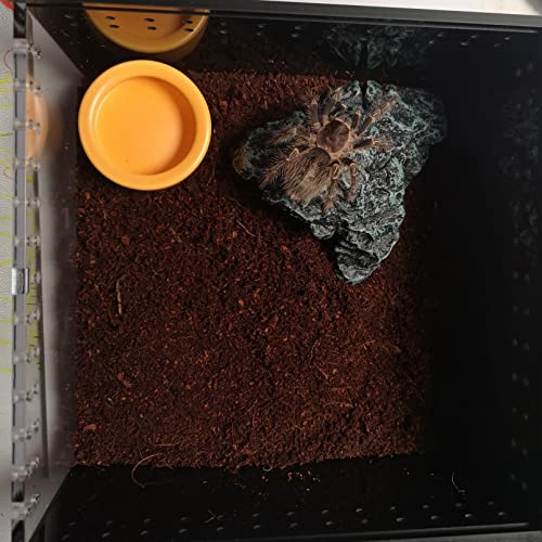 2 Pack Reptile Food Bowls Mini Ceramic Water Feeder Bowl Anti-Escape Mini Reptile Feeder for Lizard Anoles Bearded Dragons Crested Gecko Hermit Crabs