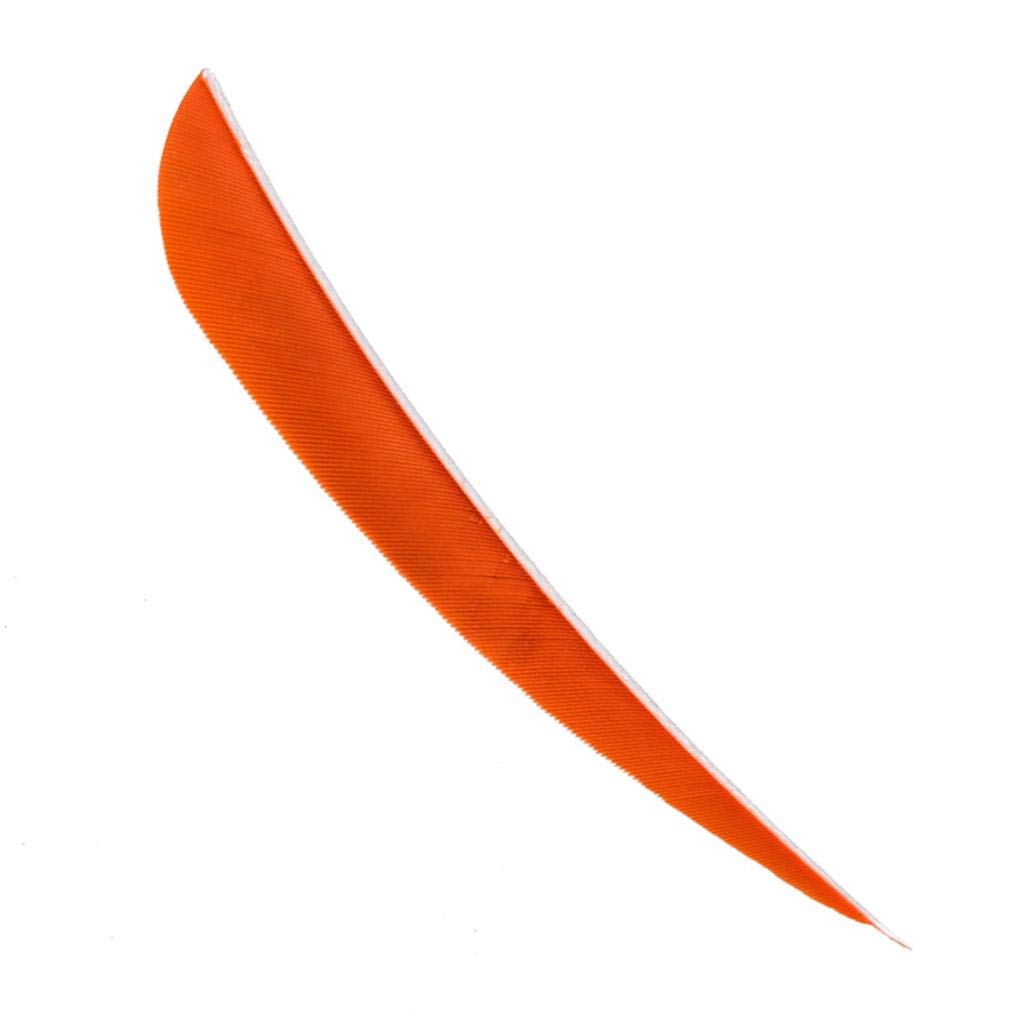 12 Pieces 4 inch Archery Arrow Fletching Right Wing Fletches AI LI WEI (Color : Orange)
