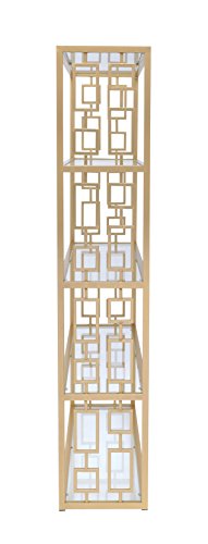 ACME Blanrio Bookshelf - - Gold & Clear Glass