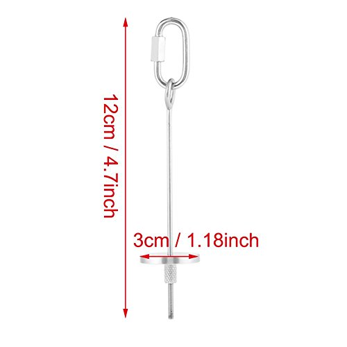 Bird Fruit Holder, Stainless Steel Fruit Vegetable Food Stick Holder Small Animal Bird Toy(S)