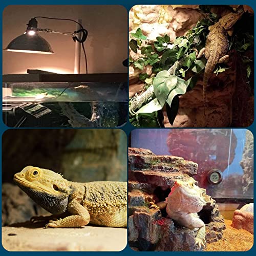HANJION 2 Pack 75W Reptile Heat Lamp Bulb, UVA Infrared Basking Spot Light, White Glass Soft Daylight Heat Bulbs for Bearded Dragon, Lizard, Tortoise, Hedgehogs Reptiles & Amphibians