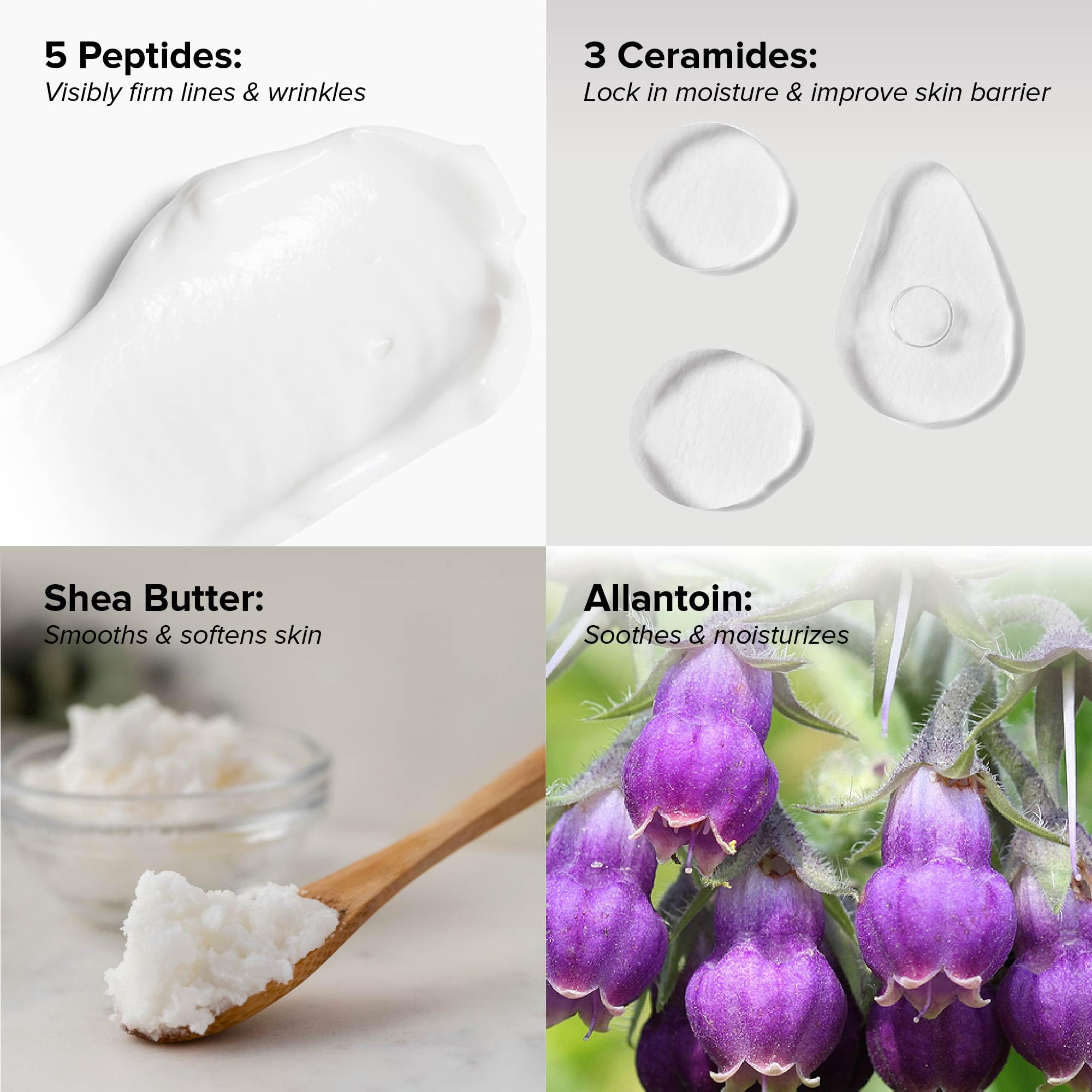 DRMTLGY Peptide Night Cream Face Moisturizer. Fragrance Free and Oil Free Hydrating Facial Moisturizer for All Skin Types. 2.1 oz