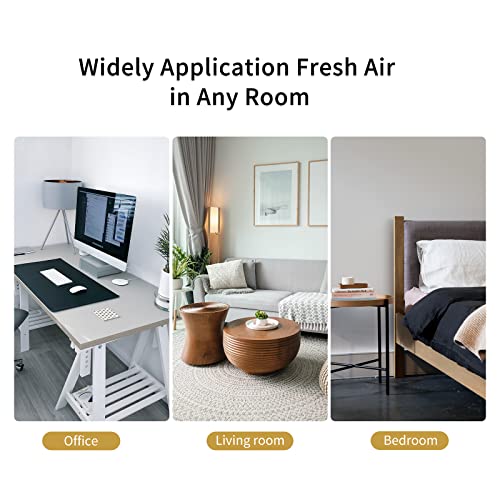 ap airpleasure Purifier Air Washer, Air Fresher Aroma Diffuser for Home, Office, Air Purifier with Night Light (Black)