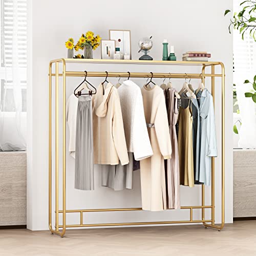 FONECHIN Heavy Duty Gold Clothing Rack for Boutique Use, Metal Garment Rack with Top Shelf, Dual-bar Clothes Rack for Retail Display