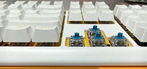 Kailh Switch of Mechanical Gaming Keyboard, 3-pin Key Switch-Gauteron and Cherry MX Equivalent Mechanical Gaming Keyboard DIY (Blue, 65 pcs)