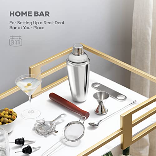 10-Piece Cocktail Shaker Set With Travel Bag - Stainless Steel Cocktail Shaker Set Bartender Kit - Mixology Bartender Kit - Strainer, Muddler, Jigger, Bar Spoon, Bottle Opener, Pour Spouts - Bar Set