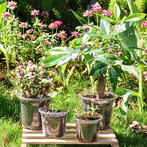 36 Packs 5/4/3.5 Inch Reinforced Clear Nursery Pots with Drainage Hole, Transparent Nursery Pots Variety Pack Plastic Plant Pot Seedling Planter Seed Starter Pots Flower Pot with 20pcs Plant Labels