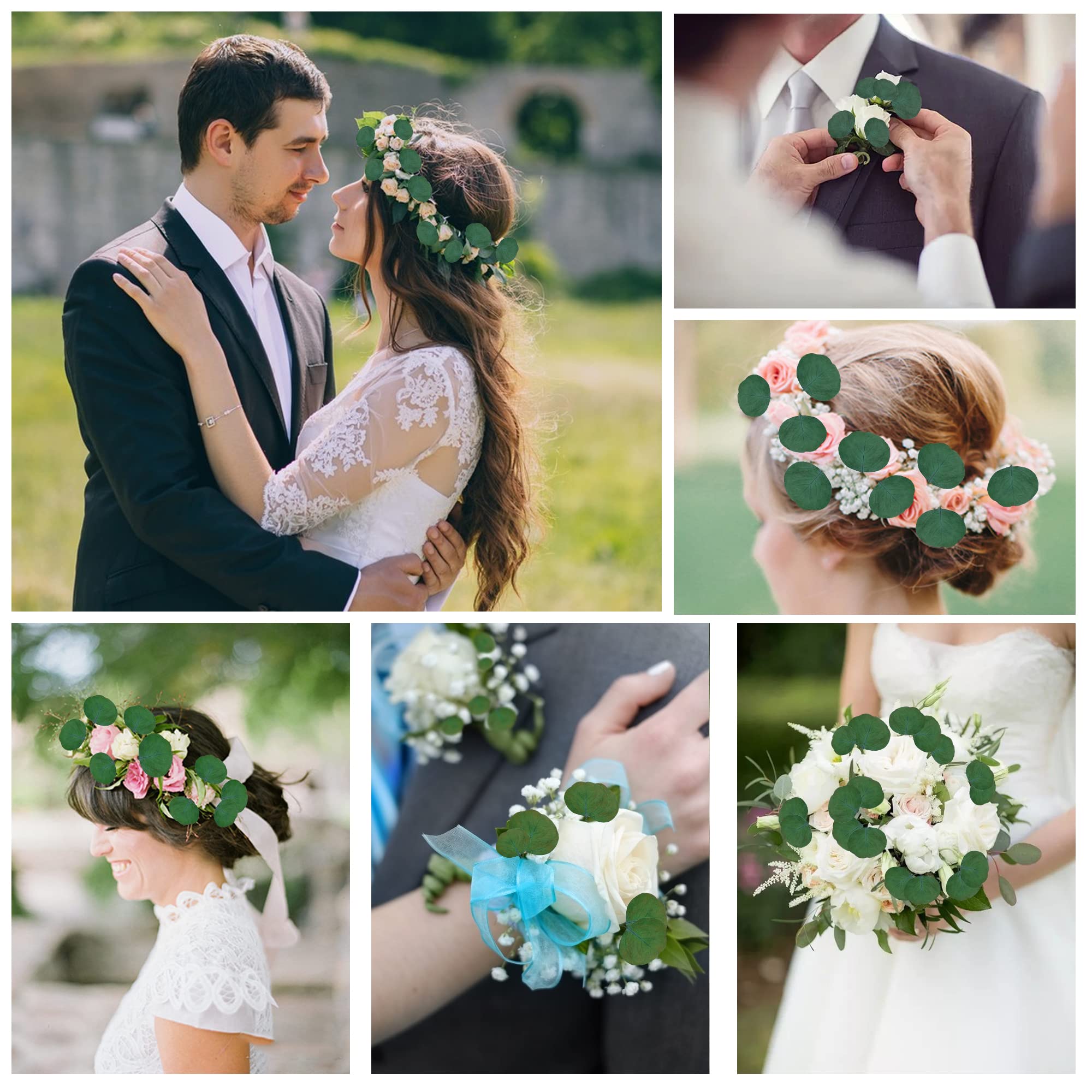 200+ Pcs Dried Real Eucalyptus Leaves, 100% Natural Preserved Bulk Silver Dollar Green Leaves Flower Girl Basket, Biodegradable Confetti for Weeding Registry Items, DIY Baby Shower Decor