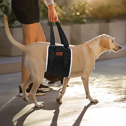 4-120 lbs Dog Lift Harness Adjustable Dog Sling for Large Dogs Lift Support and Rehab Harness for Weak Rear Legs, Soft Hind Leg Support Helps Senior, Injured, Disabled and After ACL Surgery (Large)
