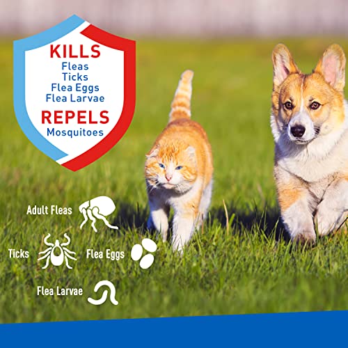 Adams Plus Flea & Tick Spray For Dogs and Cats | Kills Adult Fleas, Flea Eggs, Flea Larvae, Ticks, and Repels Mosquitoes For Up To 2 Weeks | Controls Flea Reinfestation For Up To 2 Months | 16 Oz