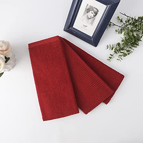 Anyi Dish Towels for Kitchen, Absorbent Cotton Kitchen Towels for Drying Dishes, Terry Tea Towels for Cleaning Set of 3, 16x26 Inches