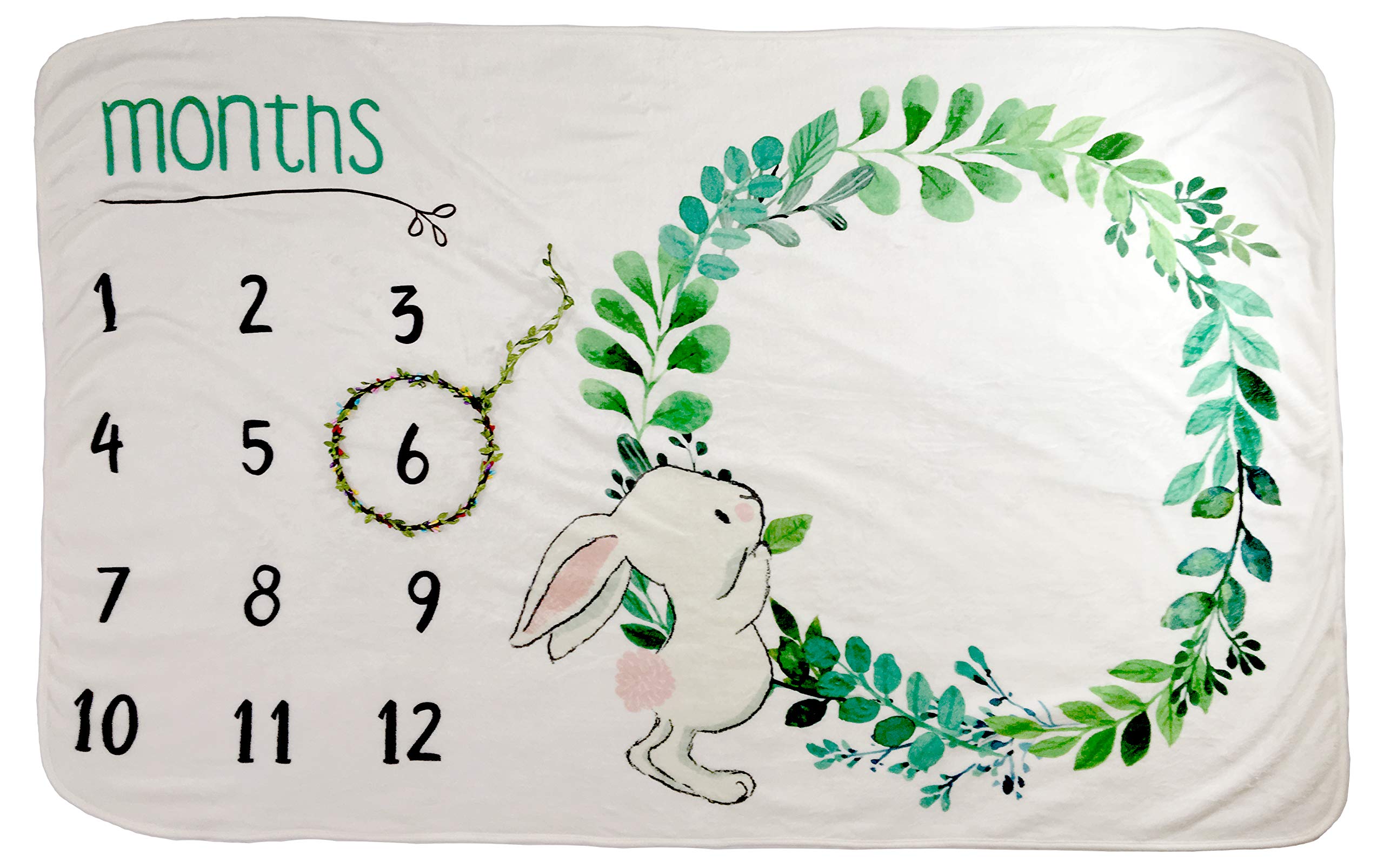 Achilles Axis Baby Milestone Blanket - Organic Soft Plush Fleece Unisex Design - Large 60 in x 40 in - Flower Photography Background Prop Included