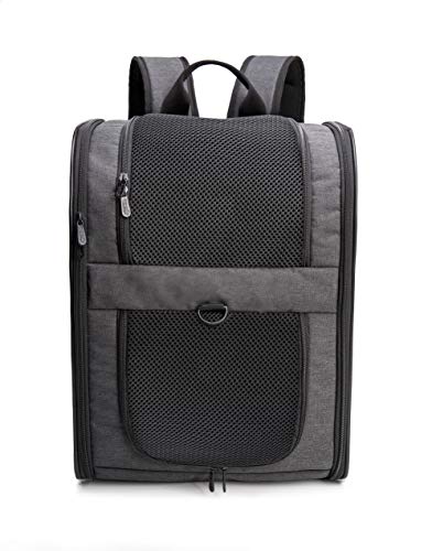 Apollo Walker Pet Carrier Backpack for Large/Small Cats and Dogs, Puppies, Safety Features and Cushion Back Support for Travel, Hiking, Outdoor Use (Black)