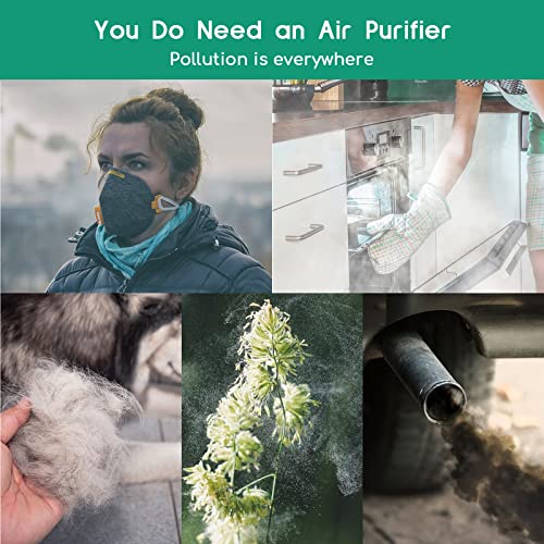 Afloia HEPA Air Purifiers for Home Large Room Up to 880 Ft², H13 True HEPA Filter Air Cleaner for Home with 2 Pack Air Filter