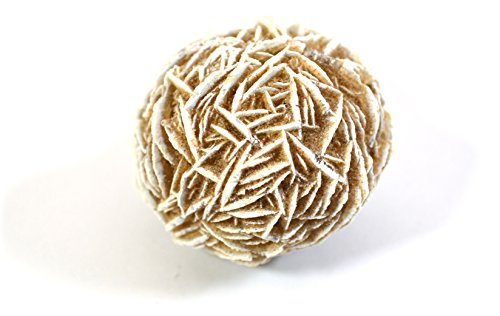 2" Desert Rose Specimen (Selenite), Single Piece