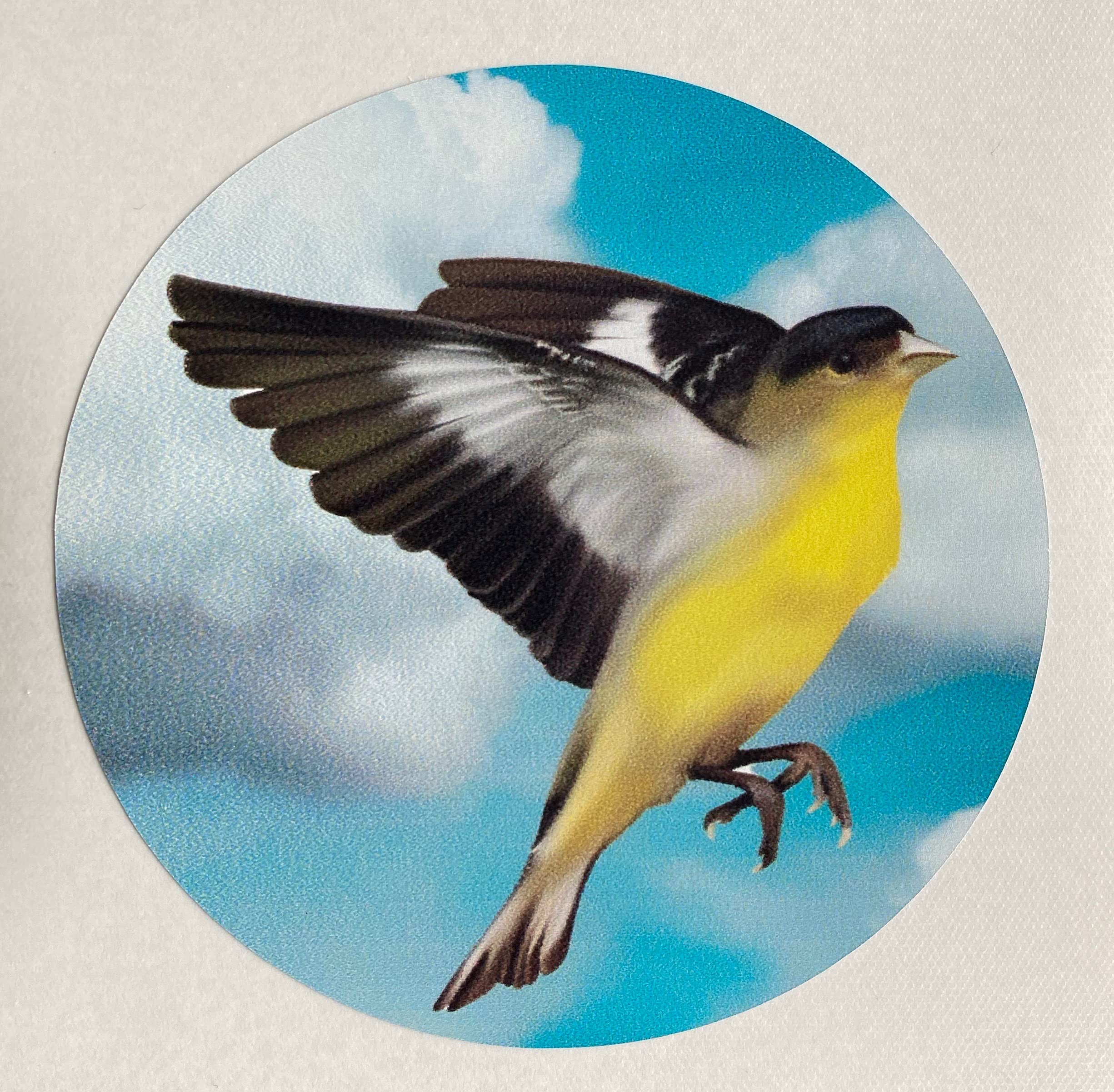 Retractable Screen Door Decals (Stickers) - 6 per Package - Keep Children Safe - Alert Birds, Dogs, Kids - Warn, Protect, Window Safety - Birds
