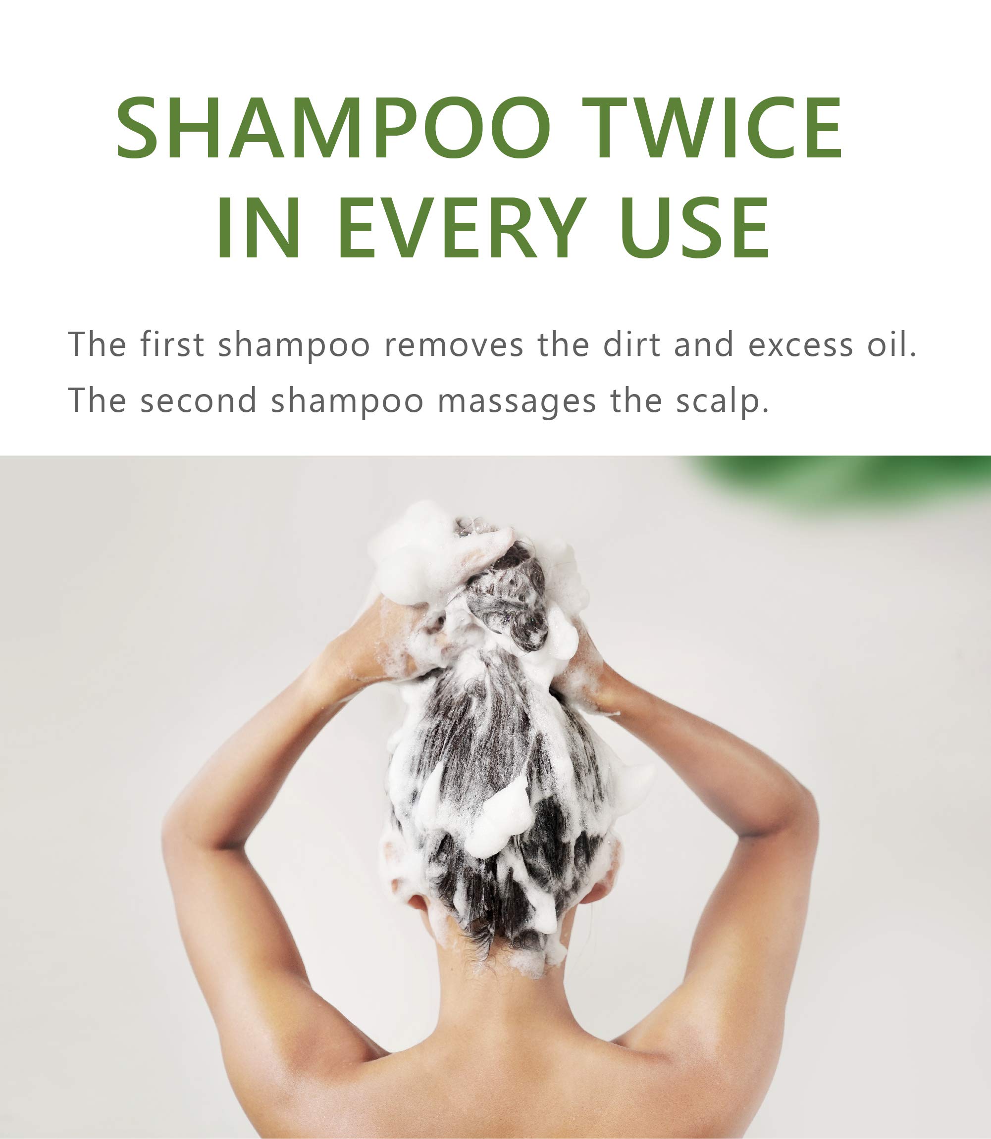 AROMASE 5Å’± Intensive Hair Solution Kit (9.1 Fl Oz Juniper Scalp Purifying Shampoo + 14 Fl. Oz Balancing Essential Shampoo) for Oily Hair & Scalp & Oil Smells