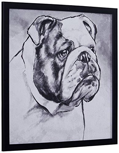 Amazon Brand β Stone & Beam Modern Black and White Print Wall Art of English Bulldog, Black Frame, 22" x 22"