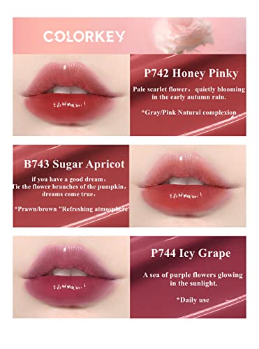 COLORKEY Lip Gloss Mirror Series, Hydrating Lip Gloss with Essential oil, High Shine Glossy Lip Tint, Hydrated & Fuller-looking Lips, Long-Lasting Liquid Lipstick(P710)