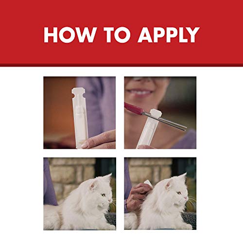 Advecta Plus Flea Prevention For Cats, Cat and Kitten Treatment & Control, Small and Large, Fast Acting Waterproof Topical Drops, 4 Month Supply