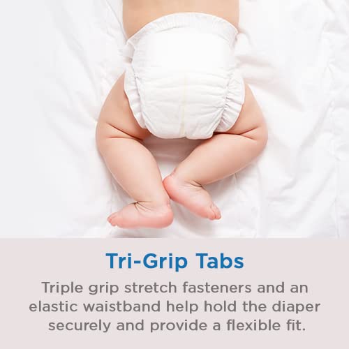 Amazon Brand - Mama Bear Plush Protection Diapers, Hypoallergenic, Size 5, 124 Count (4 Packs of 31), White and Cloud Dreams
