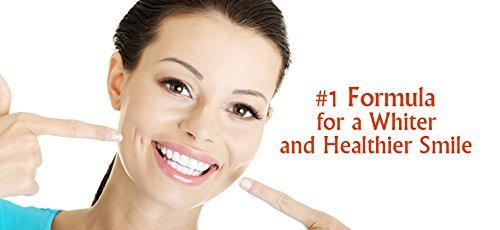 44% Carbamide Peroxide Teeth Whitening Gel - Bulk Tube with Over 100 Applications