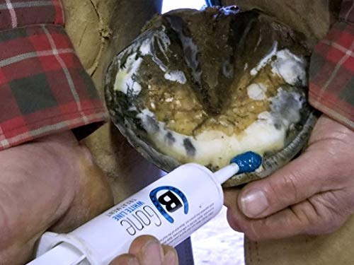 B Gone Easy to Apply Horse White Line Disease Hoof Wall 12 Dose 60 cc Gel Tube Treatment
