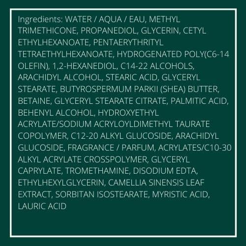 innisfree Green Tea Moisture Balancing Cream Hydrating Face Moisturizer, 2 Pound (Pack of 1)