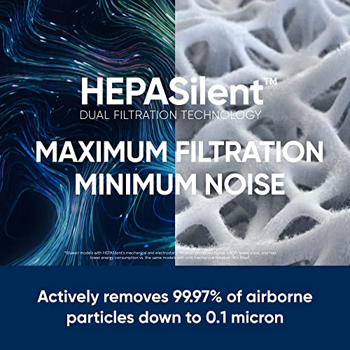 BLUEAIR Bedroom Air Purifier, Air Cleaner Dust Pet Dander Smoke Mold Pollen Allergen, Odor Removal, for Home Office Nursery Kitchen, Washable Pre Filter, HEPASilent, Medium Room, Blue 311 (Non-Auto)