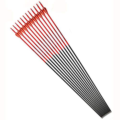 12 Pack Fletched Carbon Arrows ID 4.2mm 31" Shaft Spine 800 Archery Practice Target Hunting Arrow with Replaced Tip 80 Grain Broadheads Arrowhead for Compound Recurve Bow Orange