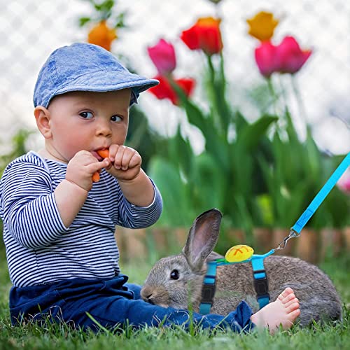 4 Sets Adjustable Bunny Rabbit Harness and Leash Set Small Pet Cute Vest Harness Leash Ferret Harness Guinea Pig Harness Ferret Leash with Decorations for Bunny Kitten Puppy, Small Pets (Fruit)
