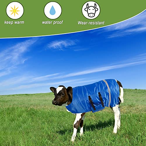 2 Packs Calf Blanket Livestock, Calf Blanket for Cold Weather Windproof and Waterproof, Calf Blanket Winter for Keeping Cow Warmming Thickened Belly Protection Blue