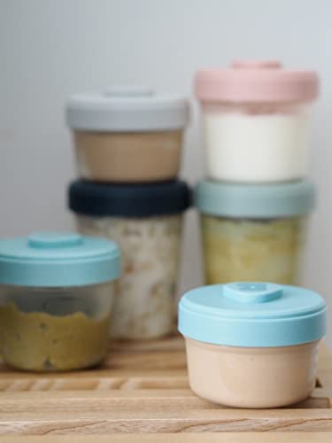 BEABA Clip Containers, Food Storage Containers, Baby Food Storage Containers with Lid, Baby Food and Toddler Snack Containers, Baby Essentials, Medium