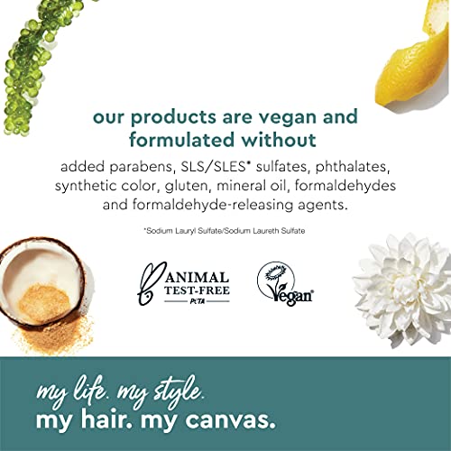 Alterna My Hair My Canvas More to Love Bodifying Vegan Shampoo, 8.5 Fl Oz | Botanical Caviar, Bring Fullness & Movement to Hair | Sulfate Free