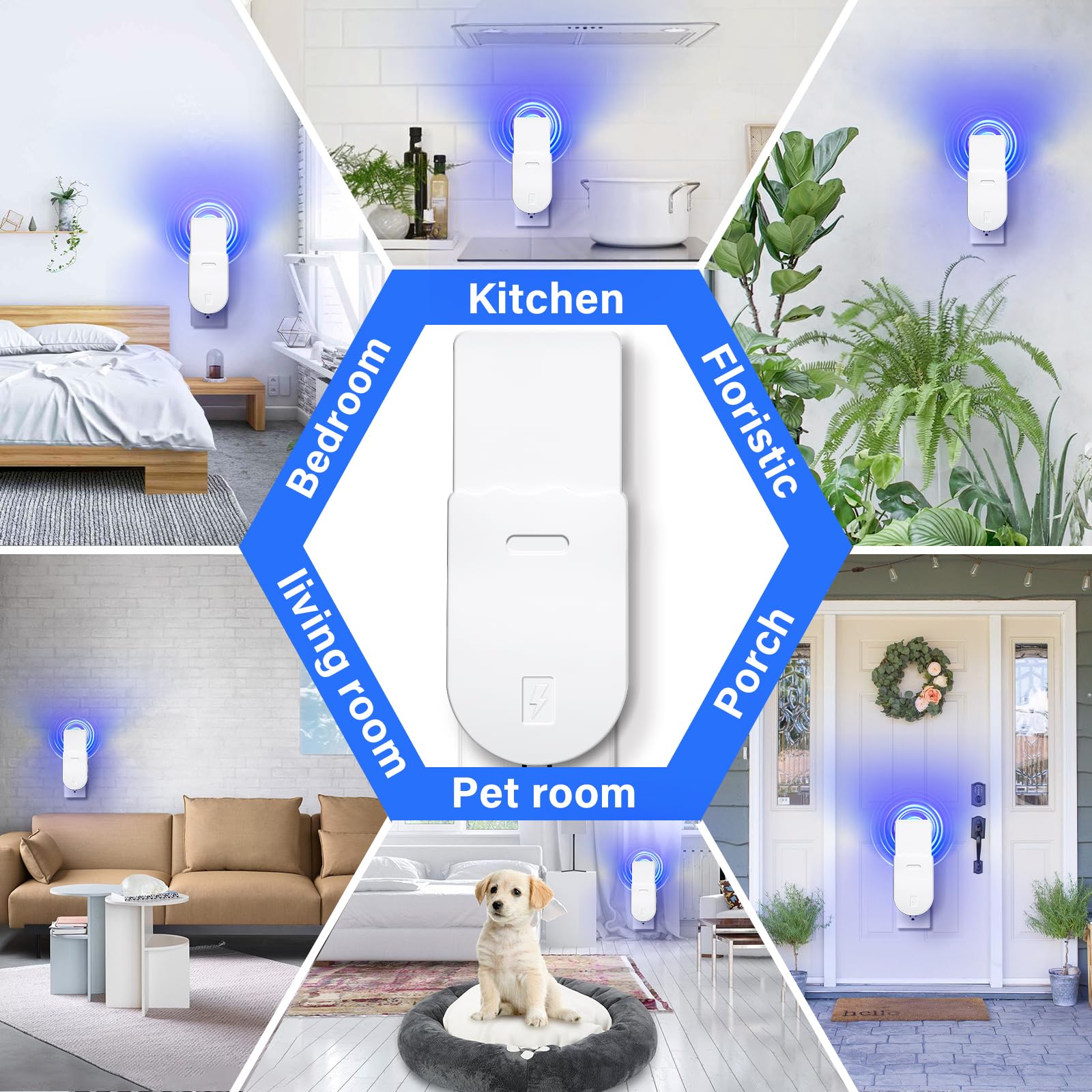 2 in 1 Plug in Fly Trap Indoor, Flying Insect Trap for Home, Fruit Fly Traps Bug Light for Gnats, Bugs, Mosquito, Flies, Fruit Flies, White, 1 Device+5 Glue Cards