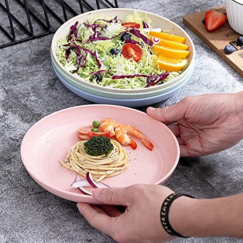 DeeCoo 10 Inch Wheat Straw Deep Dinner Plates - Microwave and Dishwasher Safe, Unbreakable Sturdy Plastic Dinner Plates - Set of 6 - Healthy Cereal Dishes/Kids-toddler & Adult