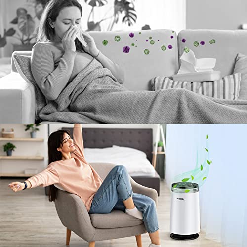 Acekool AD4 Air Purifiers for Home, Air Purifiers Air Cleaner For Smoke Pollen Dander Hair Smell Portable Air Purifier with Sleep Mode Speed Control, 24dB Quiet Air Purifier