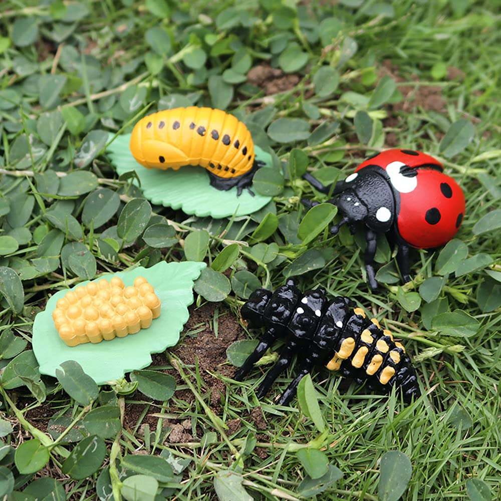 20 PCS Life Cycle Figurines of Butterfly Spider Bee Ladybug Dragonfly, Plastic Insect Bug Figures Toy Kit, Early Education Growth Stage Model Biology Science Toys School Project for Kids Toddlers