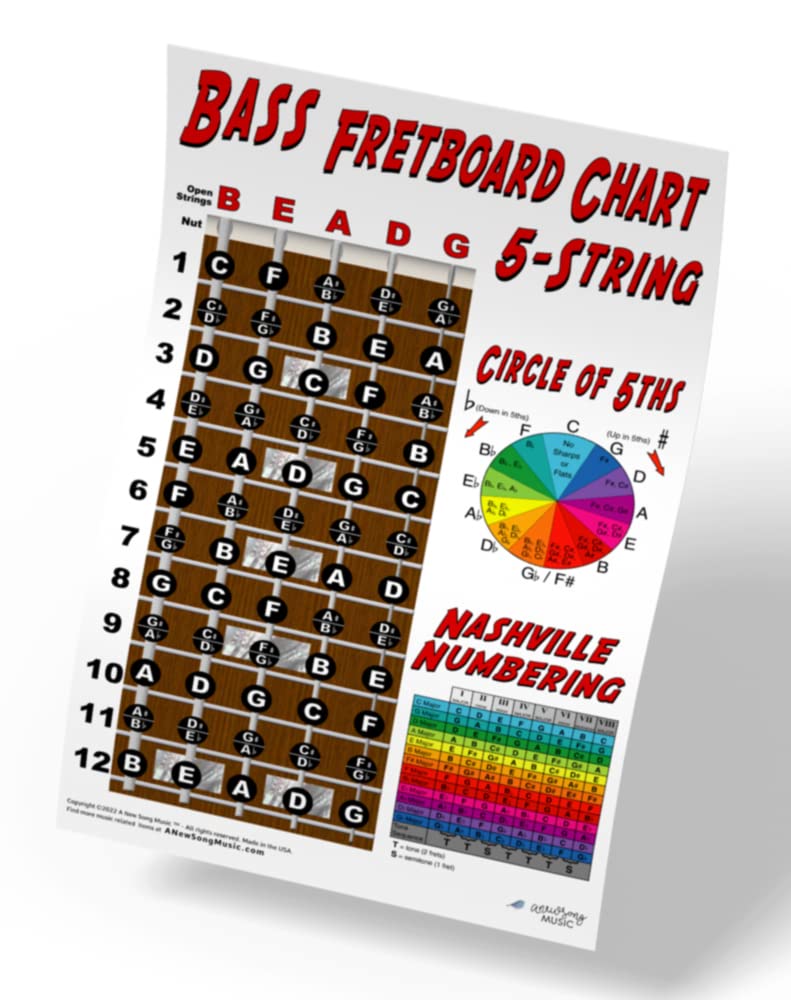 5 String Bass Fretboard Poster - Nashville Numbering System, Circle of 5ths, Notes Instructional Chart | A New Song Music | 11x17