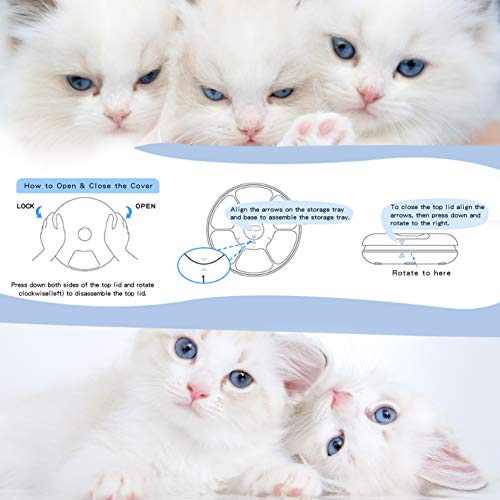 Automatic Cat Feeder - 6-Meal Wet and Dry Food Programmable Auto Dispenser with Digital Timer - Suitable for Cats and Small Dogs- USB & Battery Power Supply - Portion Control - Easy to Open Cover