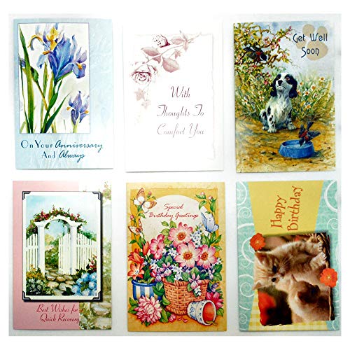 50 Assorted Everyday All Occasion 5 by 7 Greeting Cards with Envelopes, 34 Birthday, 4 Sympathy, 4 Blank, 2 Thank You, 2 Get Well, 2 Thinking of You, and 2 Anniversary Congratulations