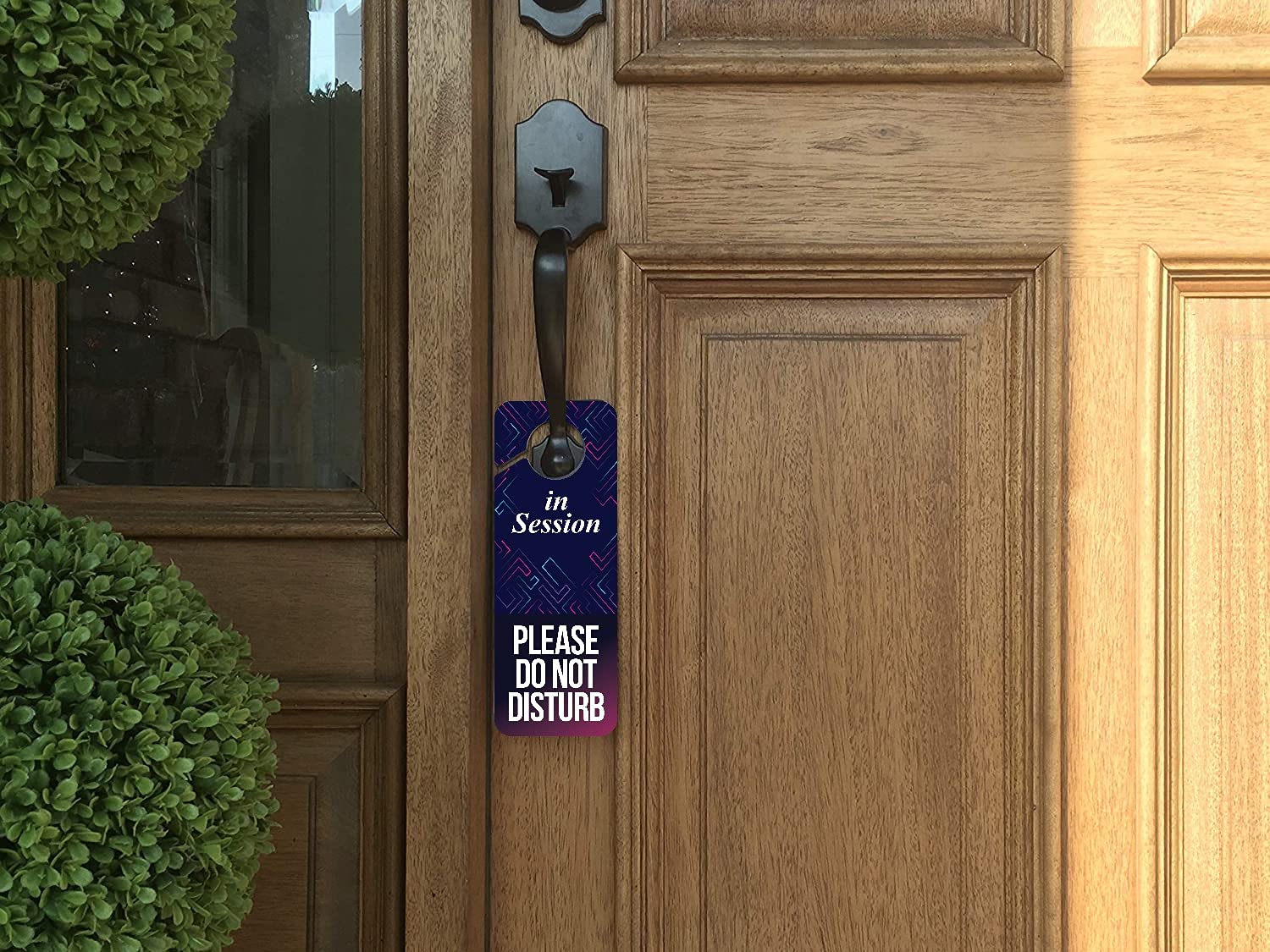 Baby Marley | in Session Door Hanger | Do Not Disturb Sign